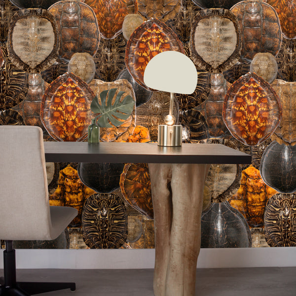 Tortoise Collage – WALLCOVETINGS